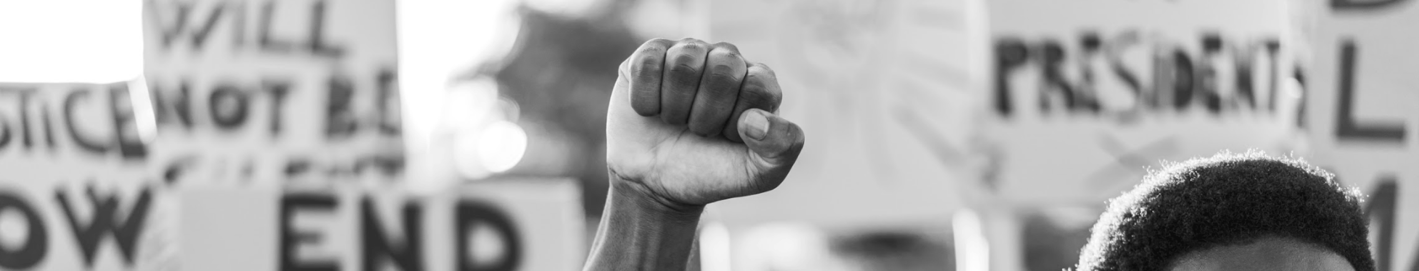 MasterClass Subcategories