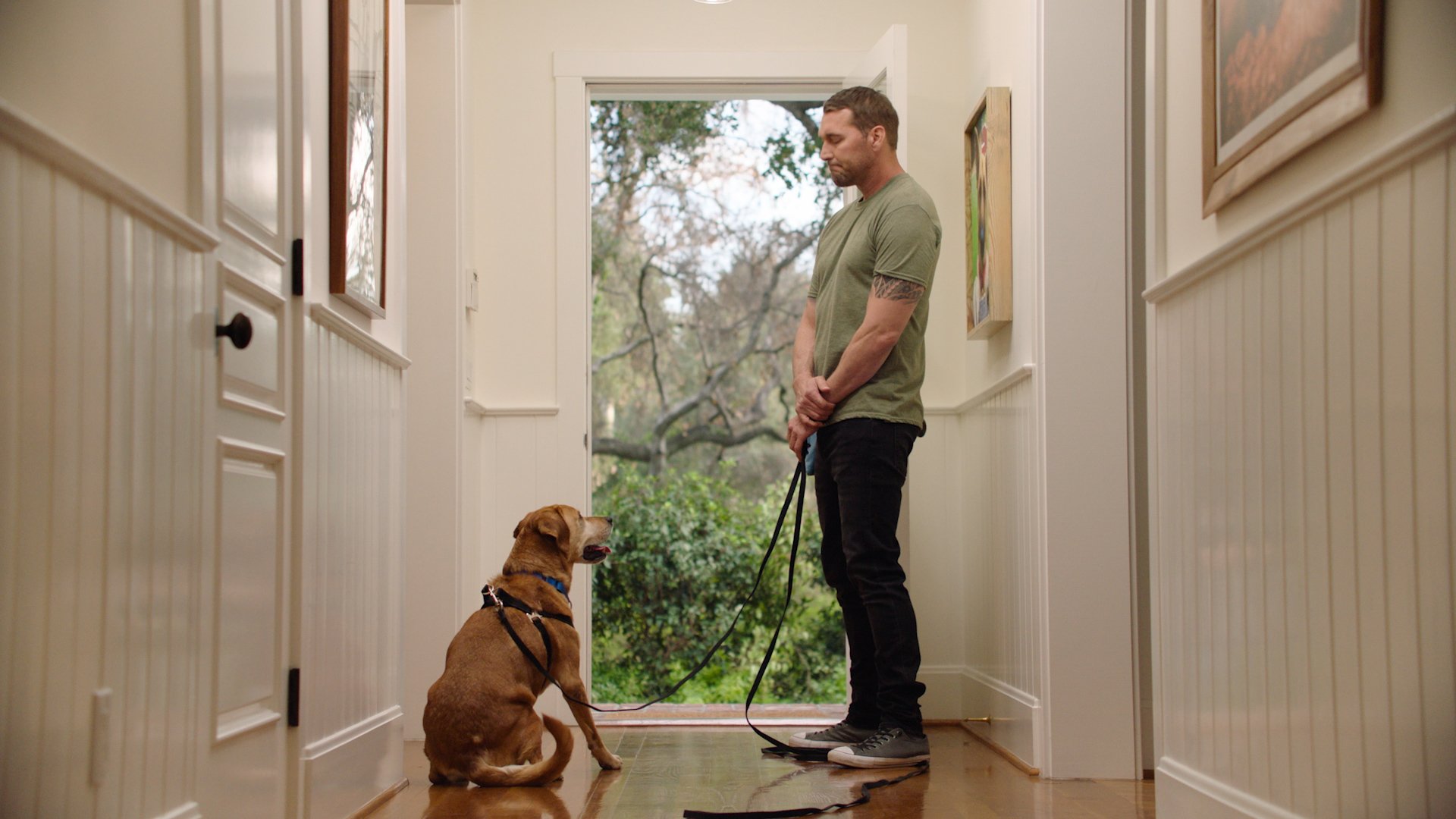 Behavior: Door Dashing | Brandon McMillan Teaches Dog Training ...