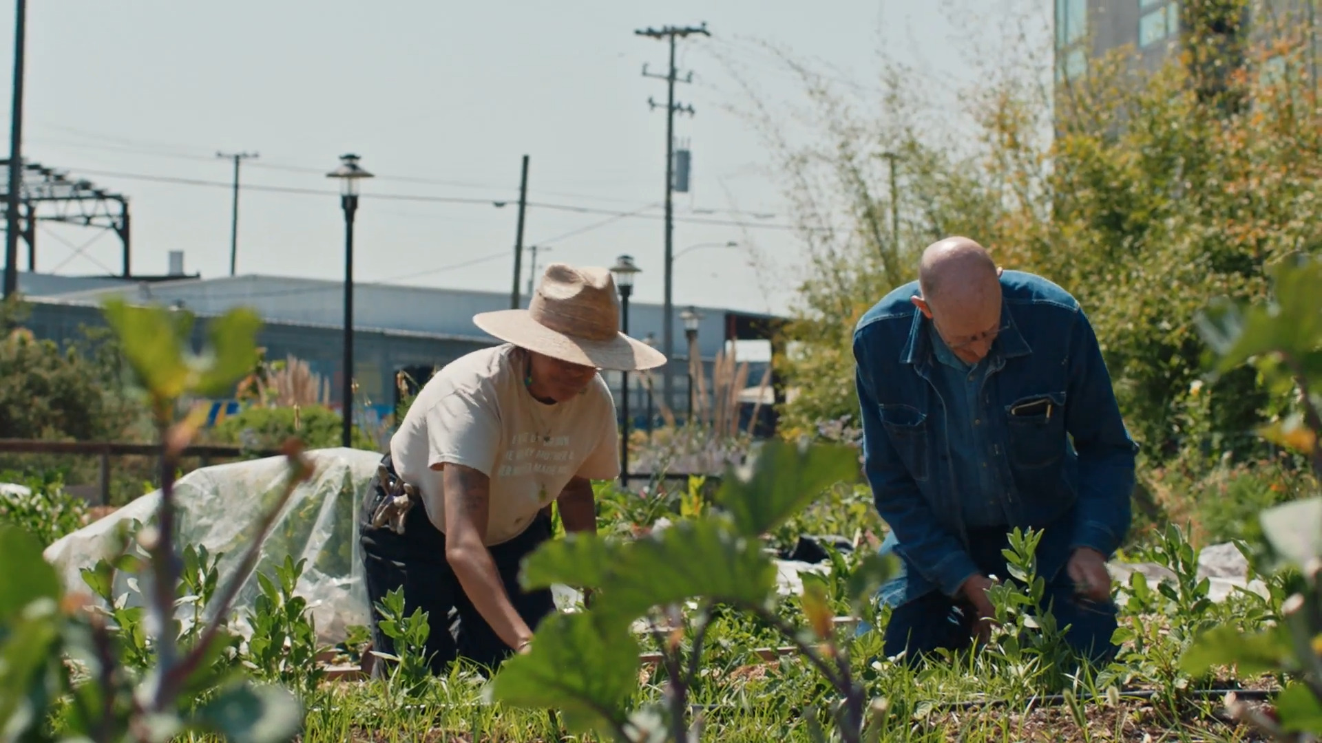 Field Trip: City Slicker Farms | Michael Pollan Teaches Intentional ...